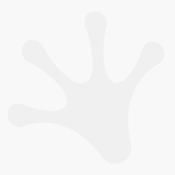 Custom Static Clings - Design & Buy - No Minimum Quantity